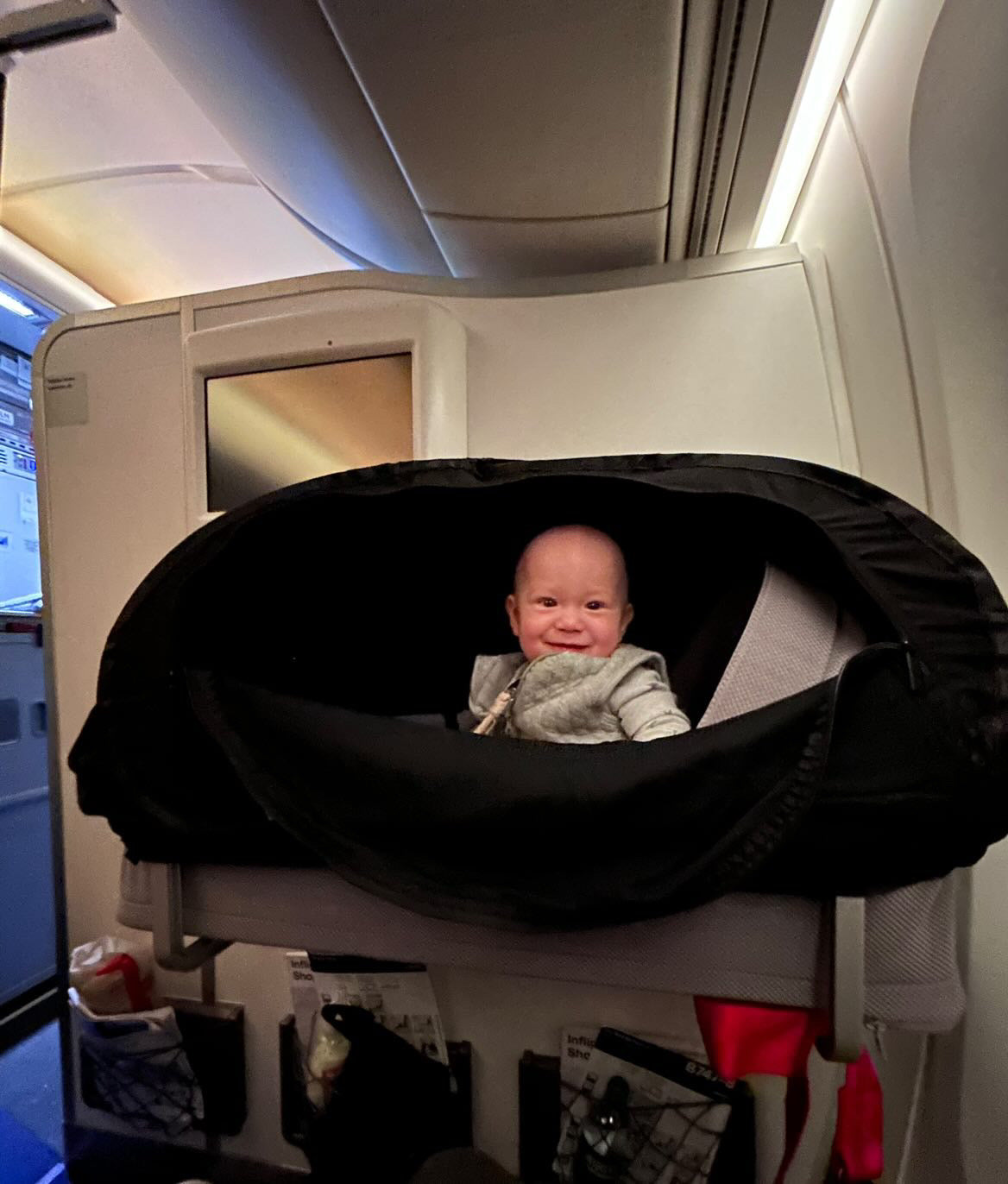 Guide to Airline Bassinets When Flying with a Baby | CoziGo